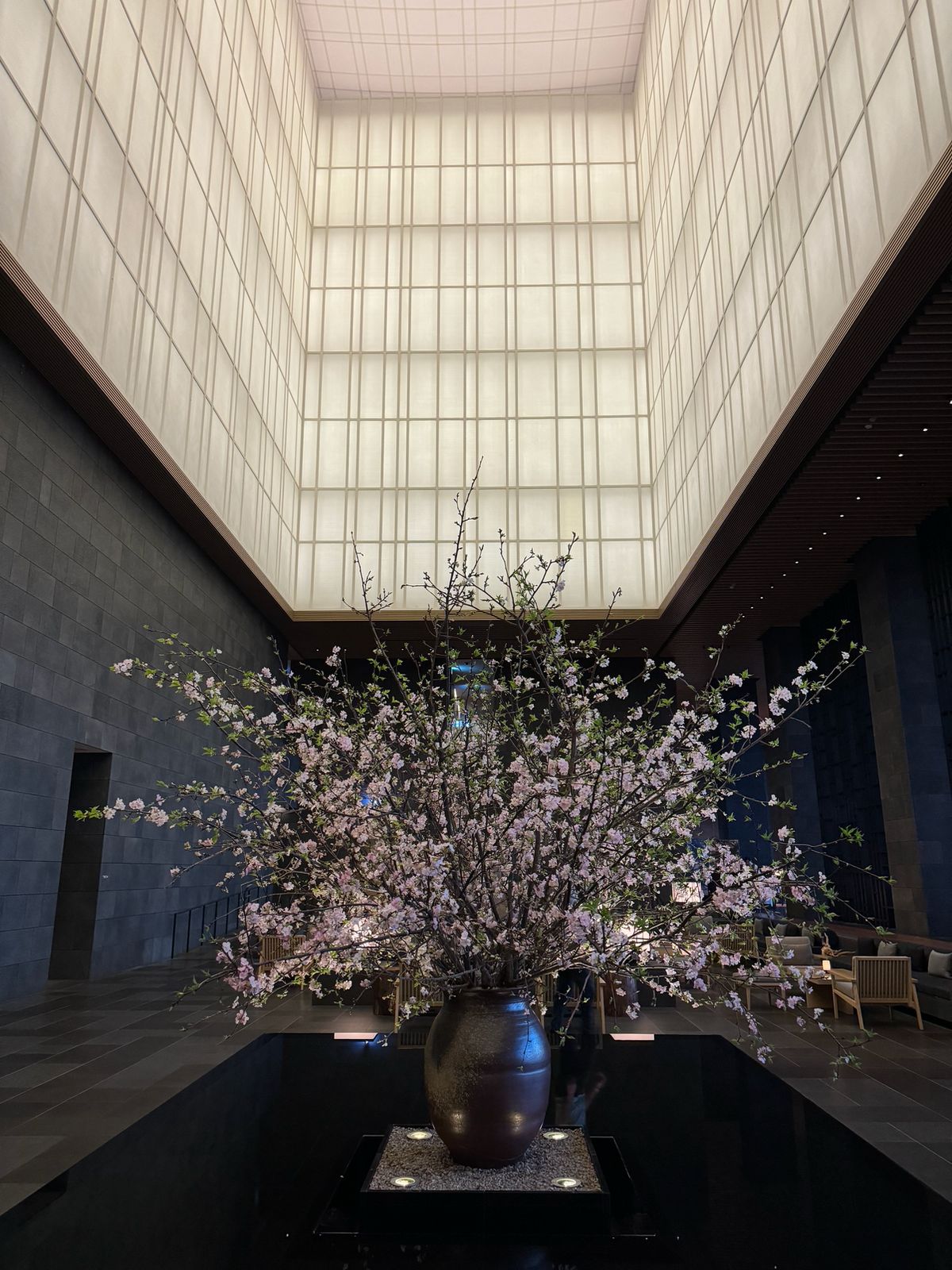 WHERE TO STAY IN TOKYO – Poppy Lissiman US